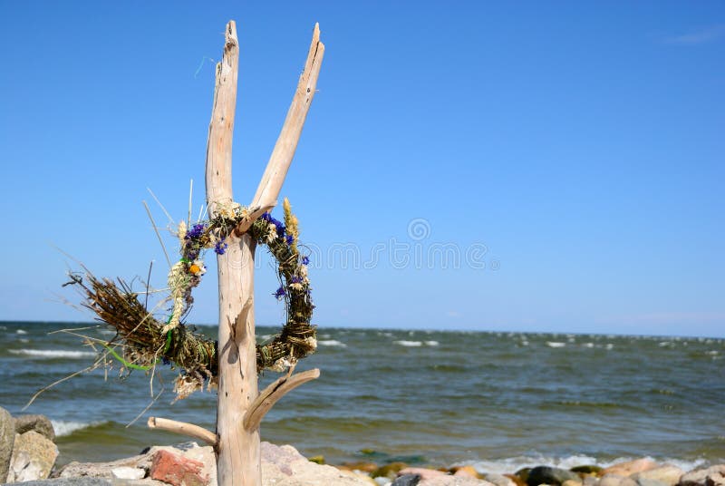 Flower Chaplet on Branch Ocean Stock Image - Image of coast, growth ...