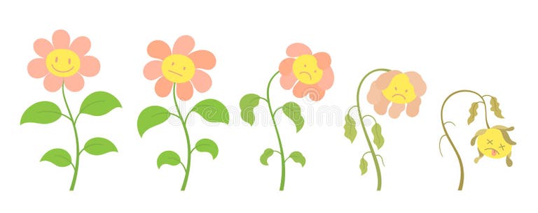 Flower Character Process of Withering. Vector Illustration. Stock ...
