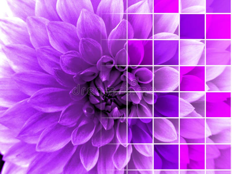Flower Checkers Style Wallpaper Background Stock Photo - Image of ...