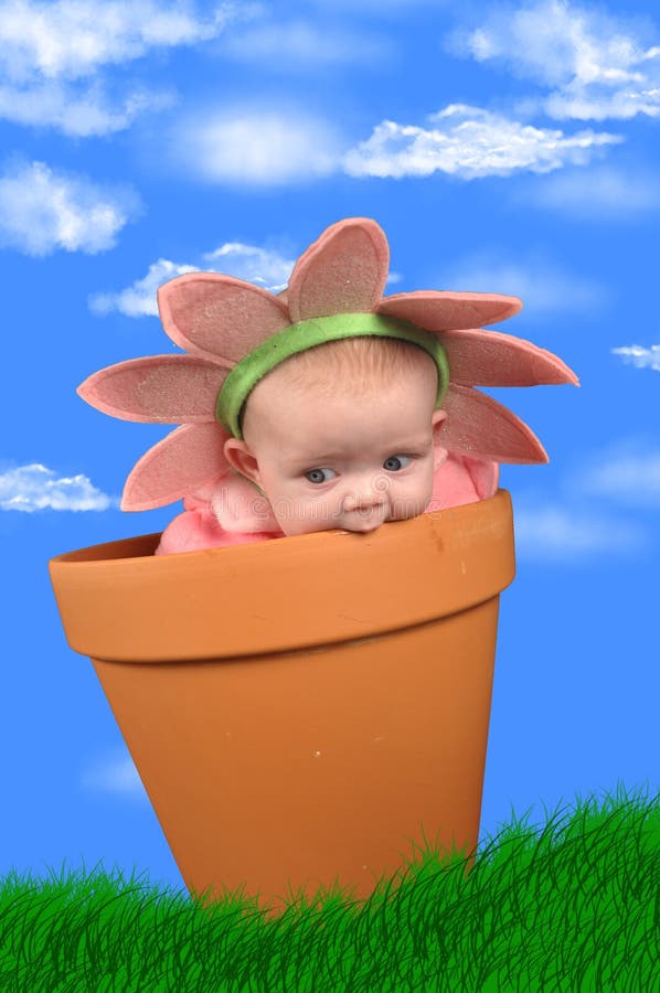 Flower child stock image. Image of flower, potted, sunny - 15928687