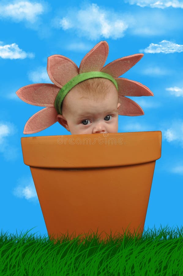 Funny Baby Girl in a Flower Pot Eating Daisies Stock Image - Image of ...