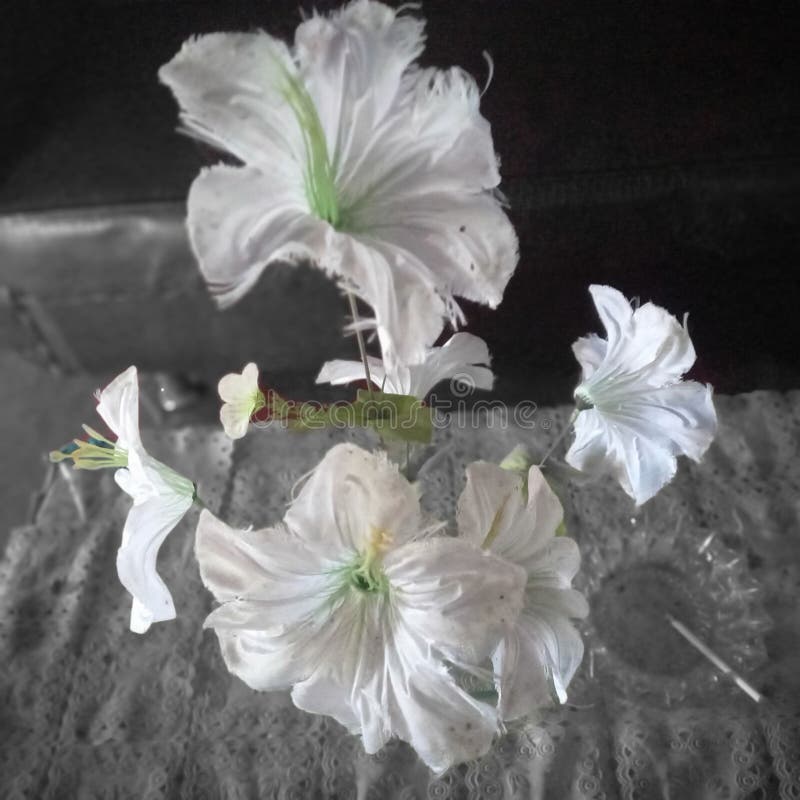 Flower Cigarettes and Smoke in the Table Stock Photo - Image of smoke ...