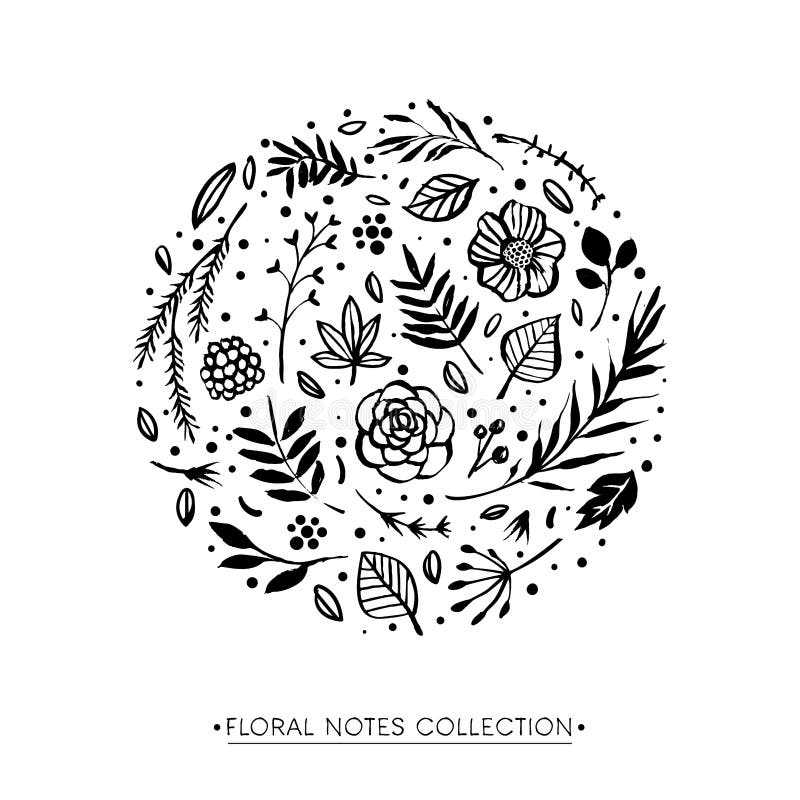 Flower Circle Shape Pattern. Floral Botanical Elements. Hand Drawn ...