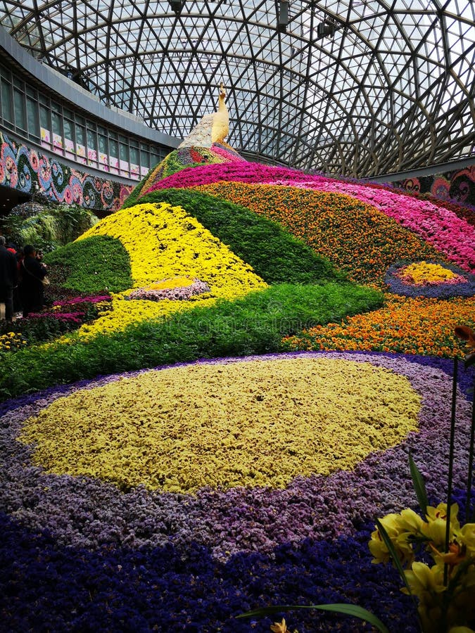 Flower city plaza at night editorial stock photo. Image of china - 24741088
