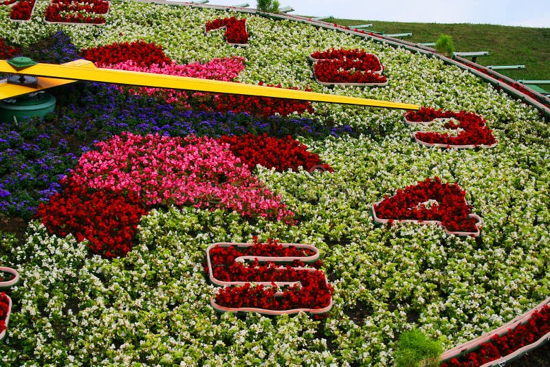 Flower clock stock image. Image of nature, growing, leaf - 3173041