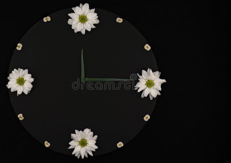 Flower Clock on Black Background Stock Image - Image of timer ...
