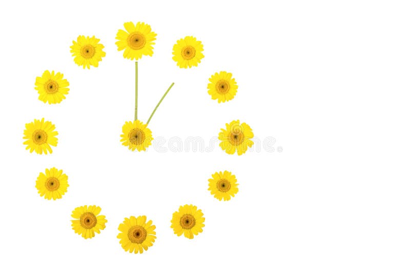 Flower Clock Showing the Time of 1 Hours Stock Photo - Image of daisies ...