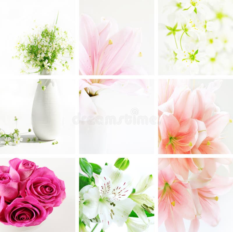 32+ Romantic flower collage Free Stock Photos - StockFreeImages