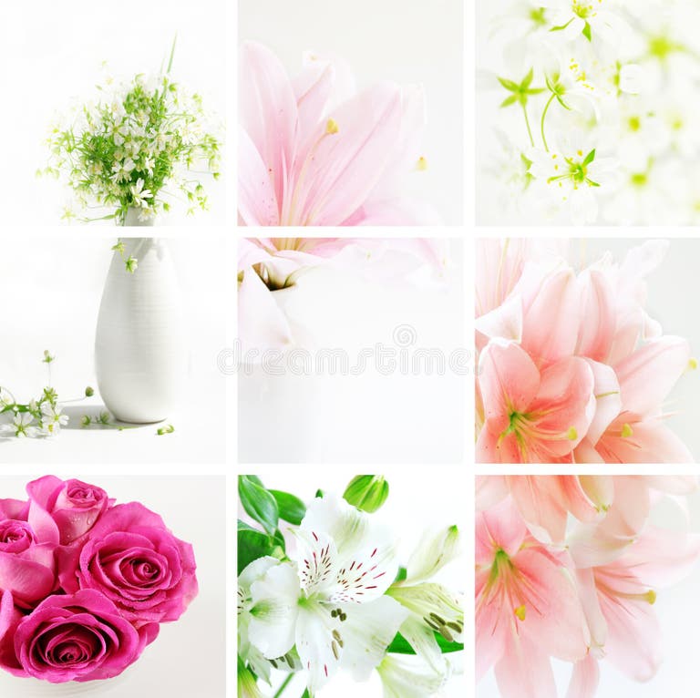 2,189 Florist Flower Collage Stock Photos - Free & Royalty-Free Stock ...
