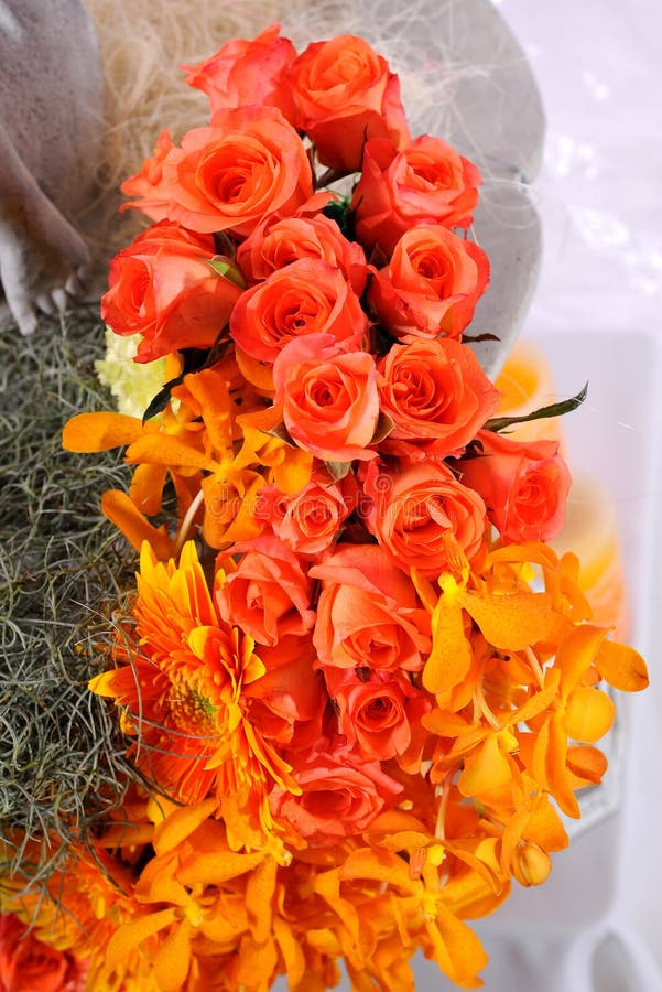 Flower collection stock image. Image of isolated, collection - 21346757