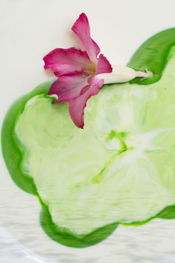 Flower Color Sketch Abstract Blur Stock Photo - Image of textured ...