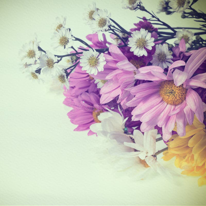 Flower Colorful for Background Retro Filter Effect Stock Image - Image ...