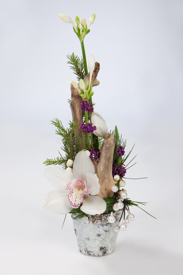 Floristic Composition stock image. Image of conceptual - 12692051