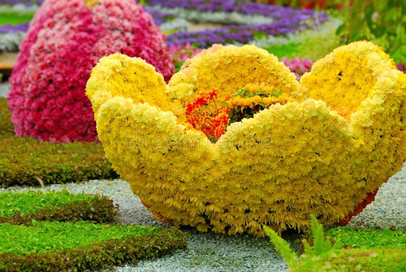 Flower composition stock image. Image of composition - 18052765