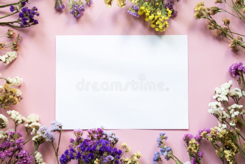 Flower Composition. Frame Made of Dried Flowers. Flat Lay, Top View ...