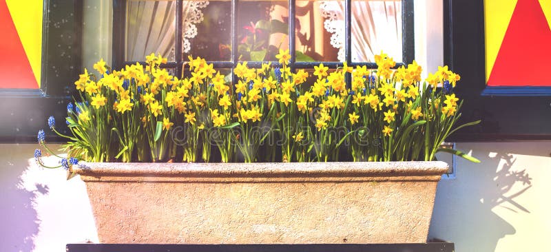 Flower Compositions on Balconies and Under Windows Stock Image - Image ...