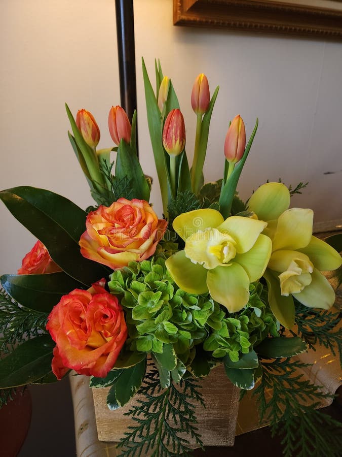 Flower, Container, Box Style Beautiful Stock Photo - Image of petal ...