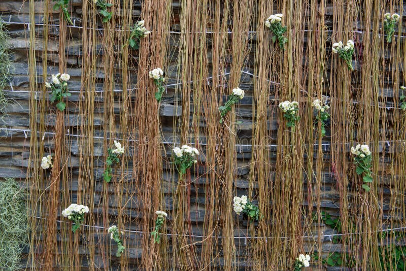 Flower and Creeping Plant Backdrop Stock Image - Image of flower ...