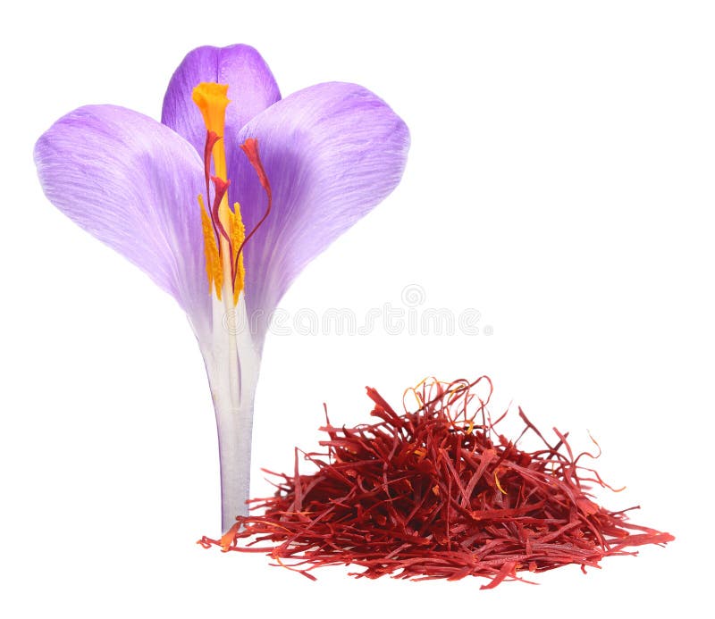 Dried saffron spice stock image. Image of safran, bloom - 109799099