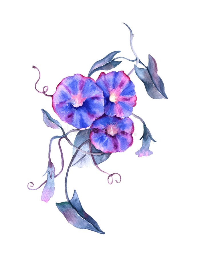 Flower Curly Shapes Background Stock Illustration - Illustration of ...