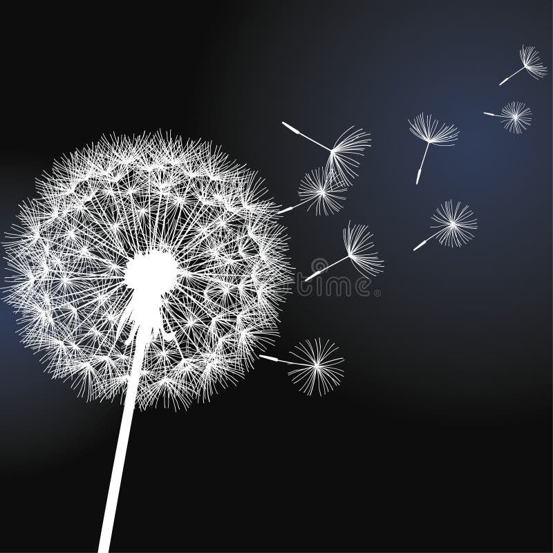 Dandelion Blowing Drawing Black And White Dandelion Blowing Drawing Black And White