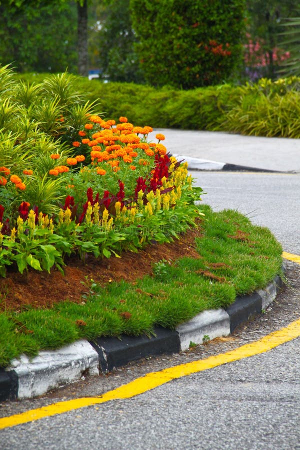 Flower Decoration Along Road Curb Stock Photo - Image of gardening ...