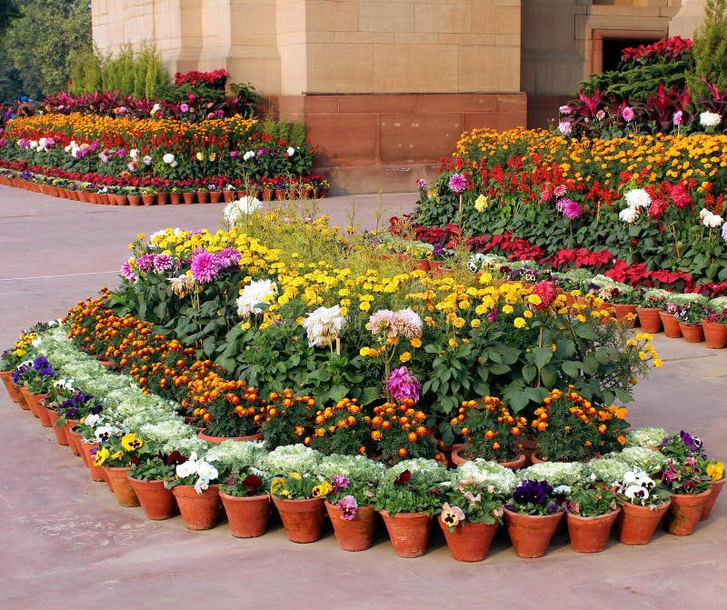 Flower Decoration, India Gate, New Delhi Stock Image - Image of spring ...