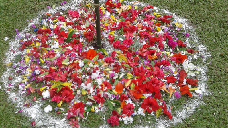 Flower design stock photo. Image of floor, flower, ground - 123802030