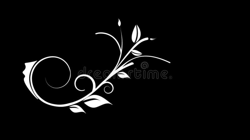 Flower Design Pattern Vector Animation Video with Transparent Alpha ...