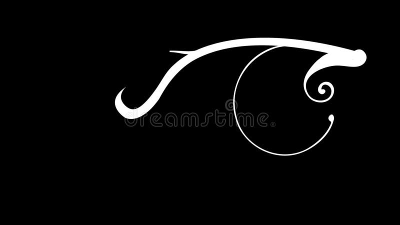 Flower Design Pattern Vector Animation Video with Transparent Alpha ...