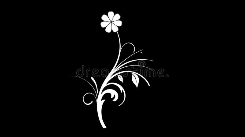 Flower Design Pattern Vector Animation Video with Transparent Alpha ...