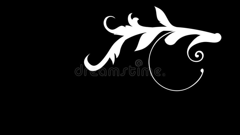 Flower Design Pattern Vector Animation Video with Transparent Alpha ...