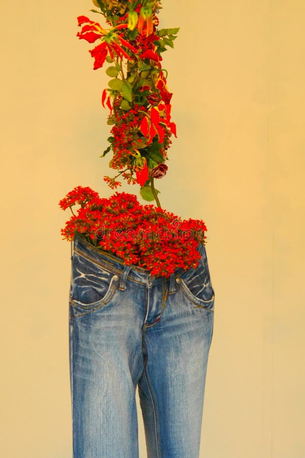 Flower Display stock photo. Image of flowers, tiny, green - 5925706