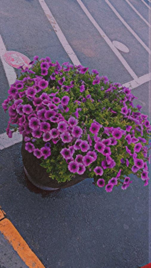 Dreamcore Stock Photos - Free & Royalty-Free Stock Photos from Dreamstime