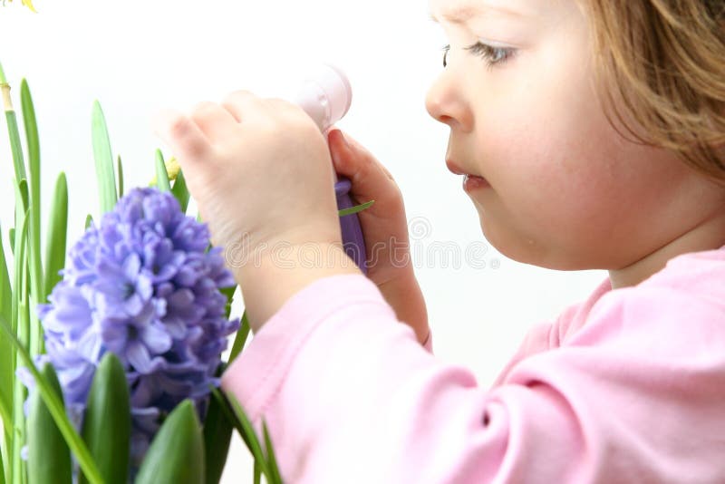 Flower doctor stock photo. Image of hyacinth, examining - 2016078