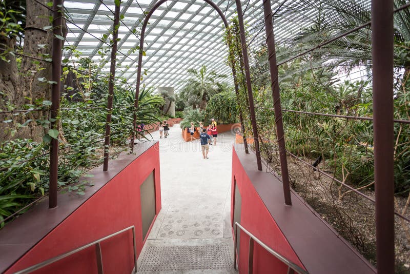 Flower Dome, Singapore editorial stock image. Image of cloud - 36675159