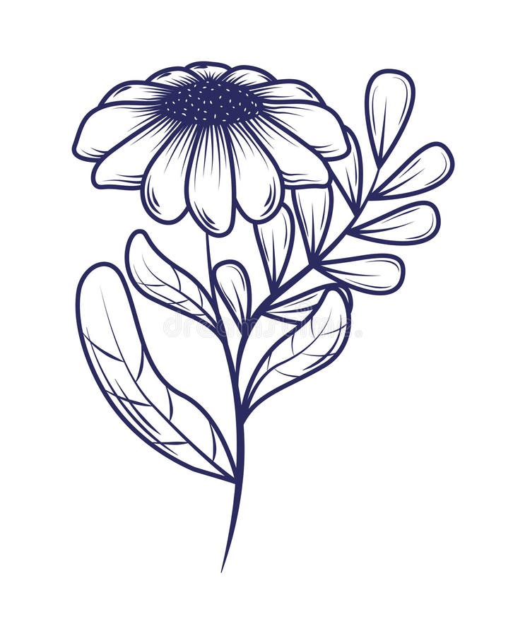 Flower doodle vector stock vector. Illustration of decoration - 272092298