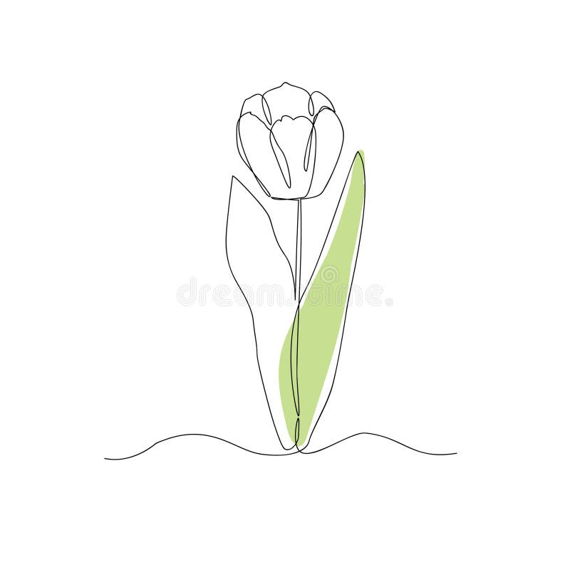 Minimalist Contour Flower Drawing. One Line Art Stock Illustration ...