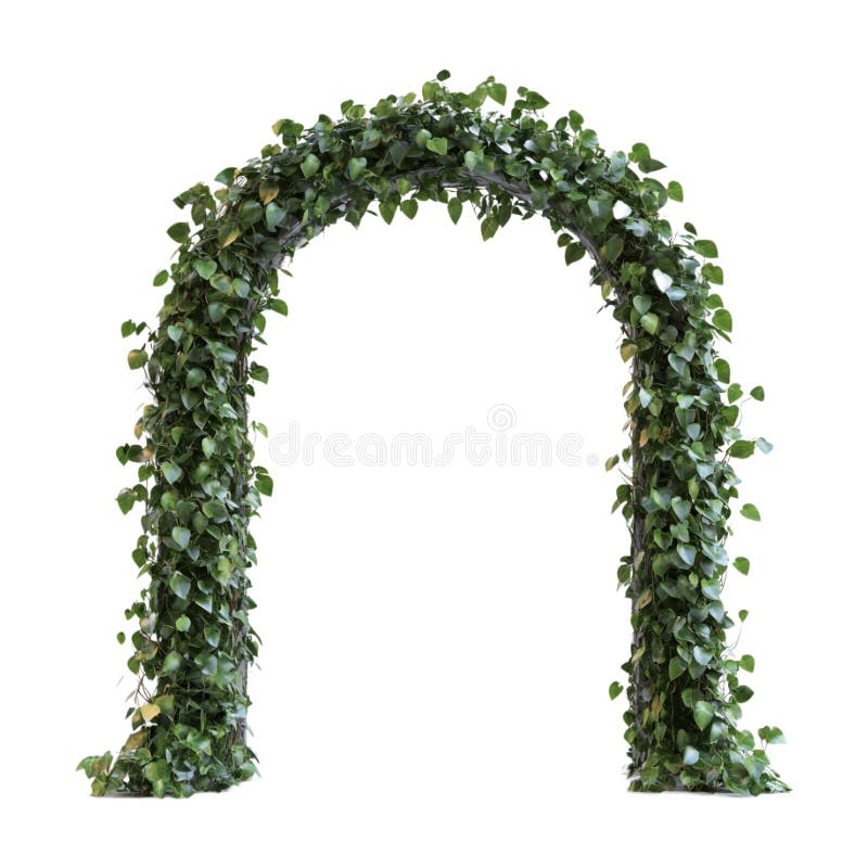 Flower Entry Gate Arch on Transparent Background - Ai Generated Stock ...