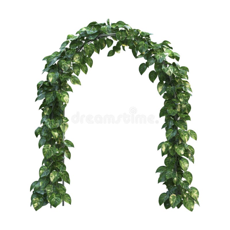 Flower Entry Gate Arch on Transparent Background - Ai Generated Stock ...