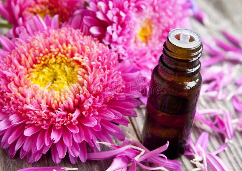 Flower Essence Bottle with Petals Stock Photo - Image of fresh ...