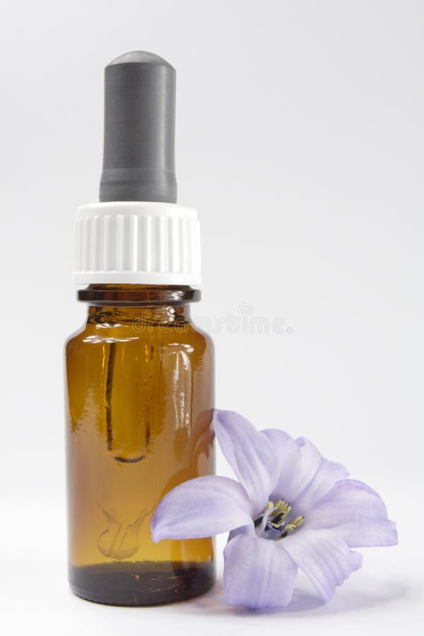 Flower essential oil stock image. Image of white, aroma - 18972155