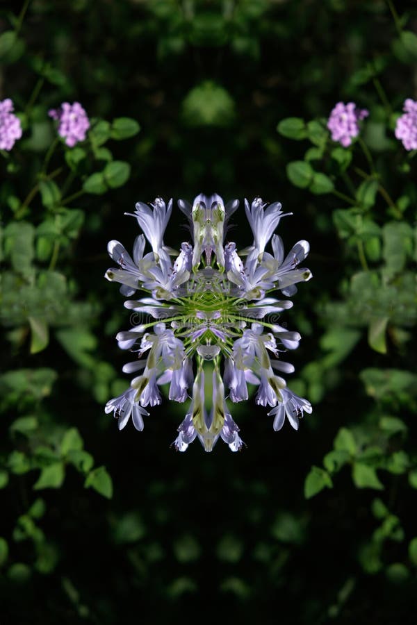 1,001 Avatar Flower Stock Photos - Free & Royalty-Free Stock Photos ...