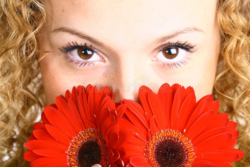 Florist stock image. Image of leaves, flower, florist, mothers - 654495