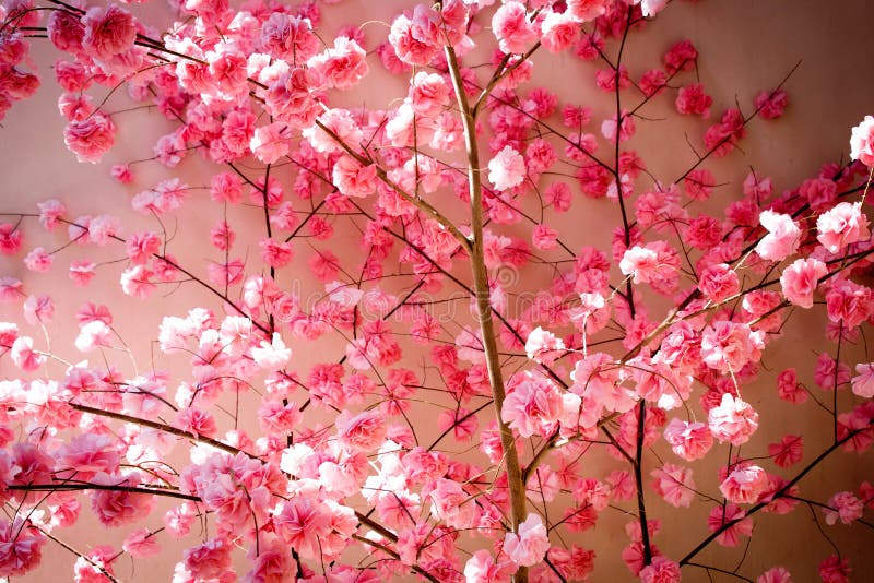 Flower of facial tissue stock image. Image of facial - 31494251