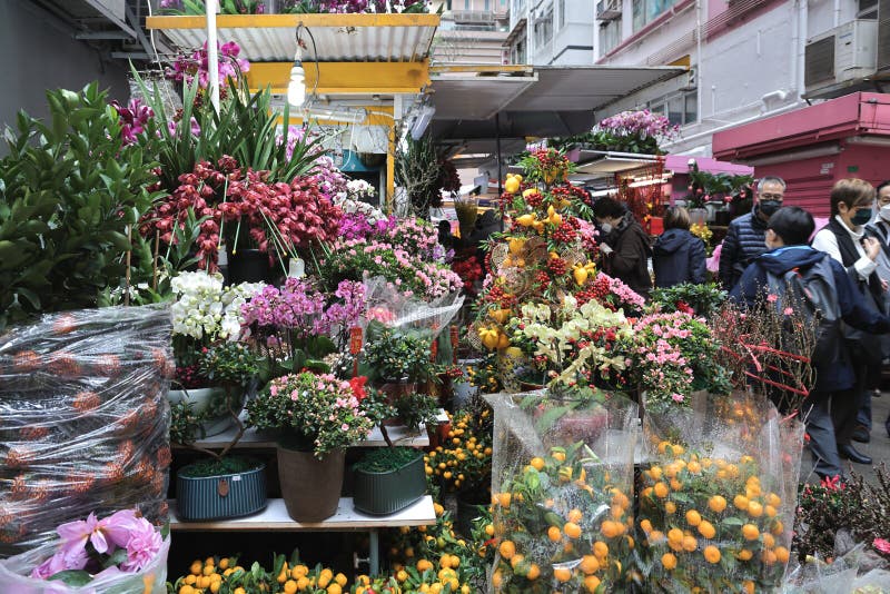 Flower Fair for Chinese New Year, Wan Chai 22 Jan 2022 Editorial Image ...