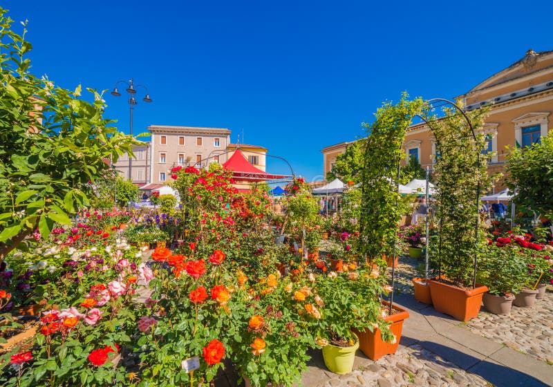 Flower Fair in Medieval Village Editorial Stock Photo - Image of ...