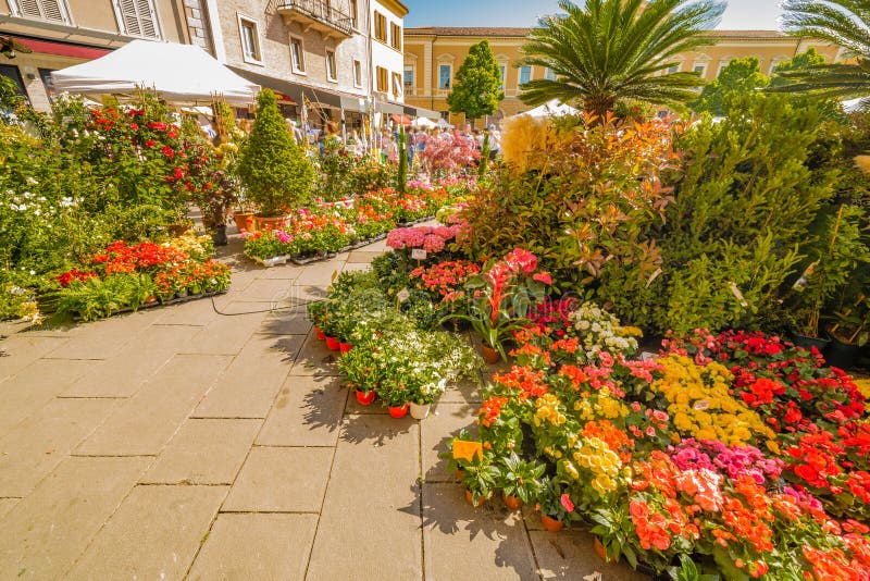 Flower Fair in Medieval Village Editorial Photography - Image of street ...