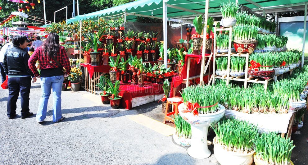 Flower fair in spring editorial photo. Image of happy - 22926396