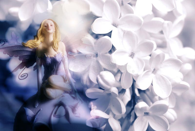Flower fairy stock image. Image of tale, folk, natural - 9270995